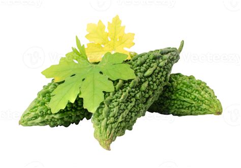 Bitter Melon Bitter Gourd On White Background With Clipping Path