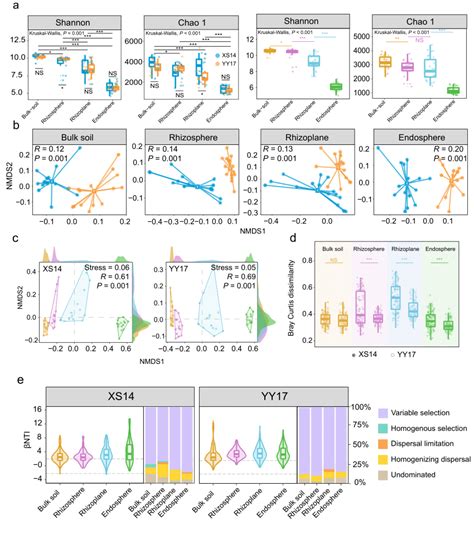 Diversity And Assembly Of Bacterial Community Download Scientific Diagram