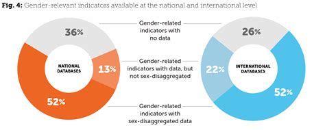 Brochure Bridging Gender Data Gaps In Africa Open Data Watch