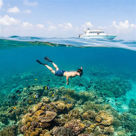 Top 7 Snorkeling Spots In Phu Quoc Tour Options Included
