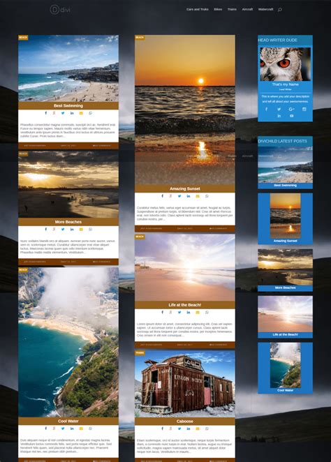 Divi Plugin Highlight Divi Custom Blog Module