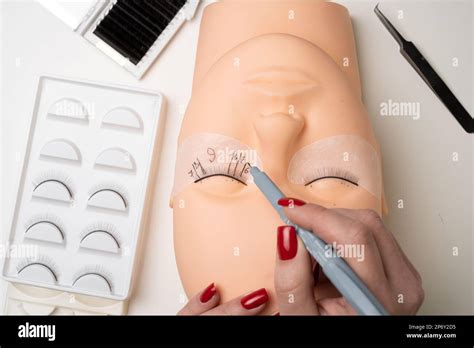 Eyelash Extension Training Master Marker Puts Markup Scheme Guide
