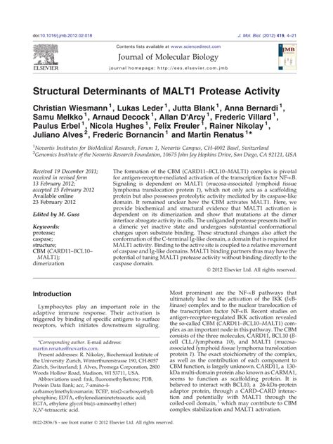 Pdf Structural Determinants Of Malt1 Protease Activity