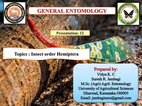 Nematode Excretory System Structure And Significance By Sundus Suhail Ppt