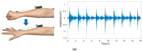Sensors Free Full Text A Surface Electromyography Semg System Applied For Grip Force
