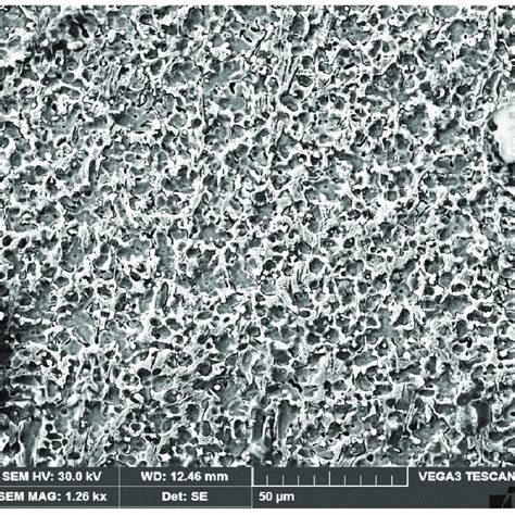 Microstructure Of The Bm A M O × 200 B Sem × 1000 Download Scientific Diagram