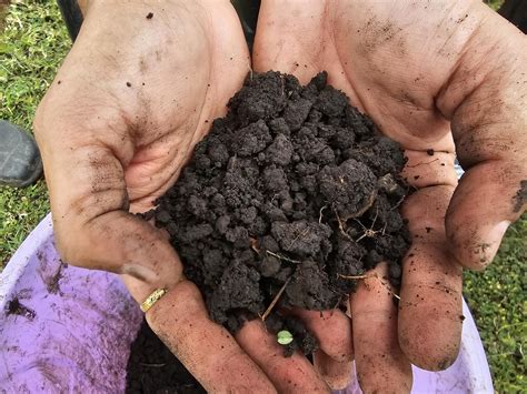 Understanding Soil Biodiversity With Dr Manoj Kaushal
