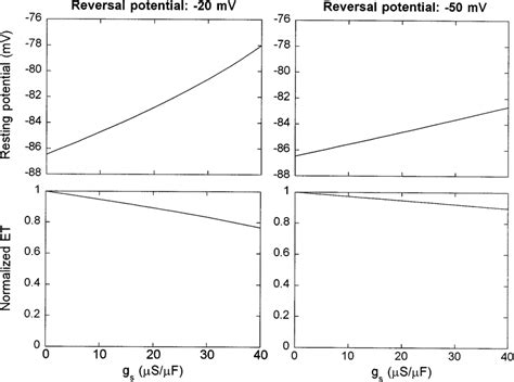 GPV Model Predictions For Resting Potential And Excitation Threshold Download Scientific