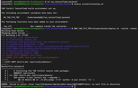Unable To Launch TAO Container TAO Toolkit NVIDIA Developer Forums