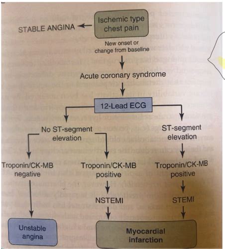 Principles Myocardial Ischemia Flashcards Quizlet