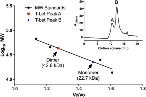 The Dna Binding Domain Of T Bet Forms A Dimer In Solution