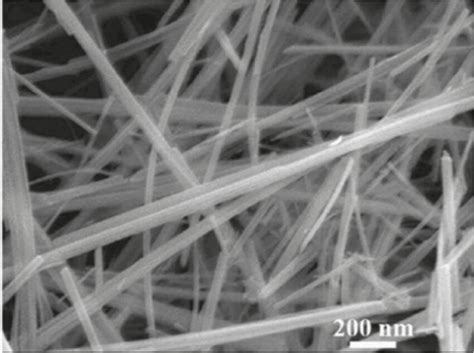 Sem Image Of α Mno2 Nanowires Reprinted With Permission From [19] Download Scientific Diagram