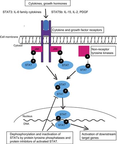 Lgl Leukemia Pathogenesis