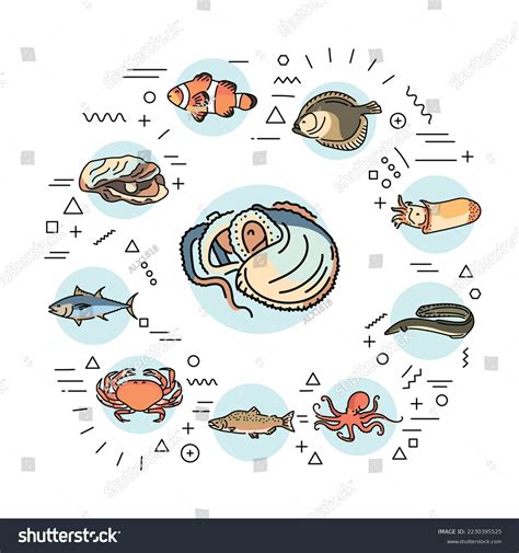 Shellfish Fish Web Banner Infographics Linear Stock Vector Royalty Free 2230395525 Shutterstock