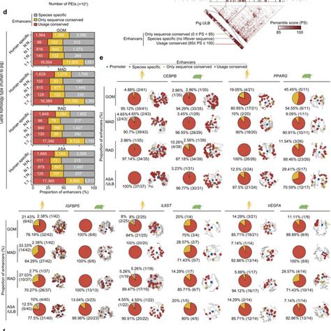 Transcriptomic And Chromatin Architecture Dynamics In Distinct Ats