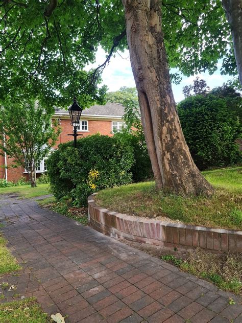 Gallery Db Maintenance