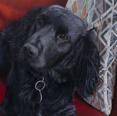 Arthur Cocker Spaniel Commission Stephen Park