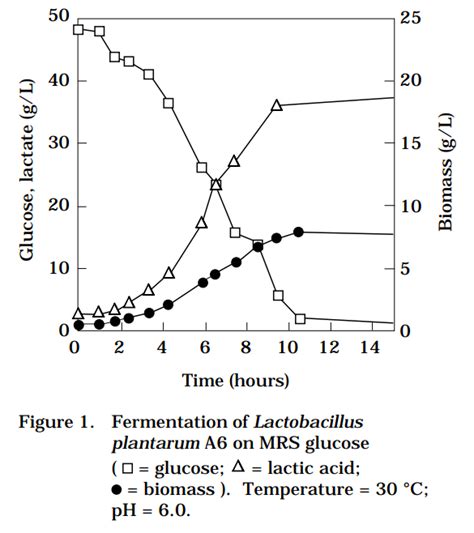 A Lactic Acid Bacterium With Potential Application In Cassava Fermentation Nguyenstarch