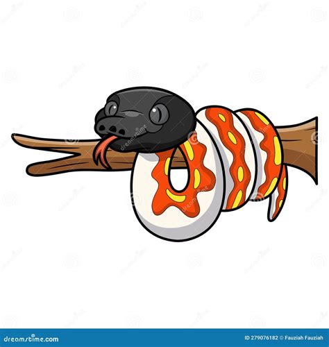 Cute Red Blood Python Cartoon On Tree Branch Stock Vector