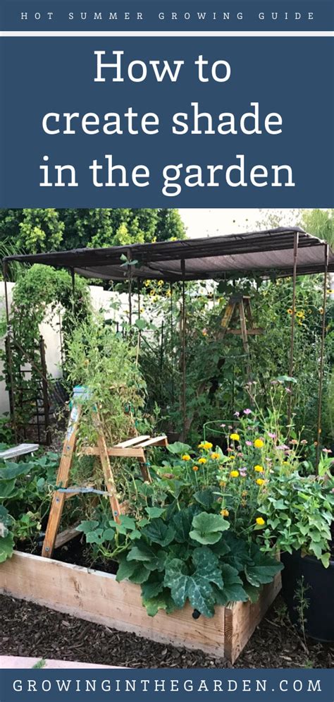 How To Create Shade In The Garden Artofit