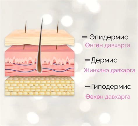 Арьс гэж юу вэ 🤔 Renecell Мэсгүй гоо сайхан