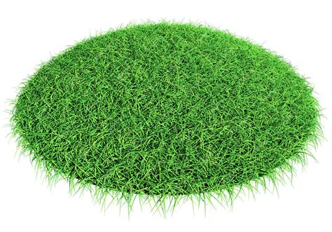 Premium Photo Grass Shape Design Element Isolated