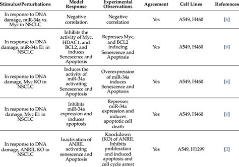 Agreement Between Proposed Boolean Network And Experimental Data From Download Scientific