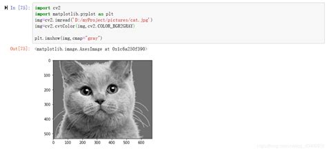 解决plt灰度图像显示问题 Csdn博客