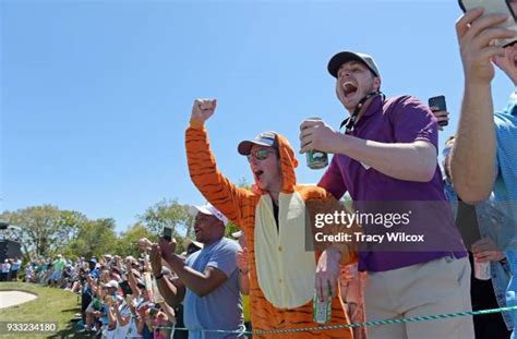 Boraz Photos And Premium High Res Pictures Getty Images