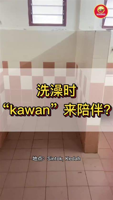 洗澡时， Kawan”来陪伴？🙈 【洗澡时， Kawan”来陪伴？🙈】 女子在大学宿舍的公共浴室准备冲凉时，突然发现厕格上方水喉管处藏着一只黑色活物！ 她还戏称这是来陪她洗澡的 Kawan
