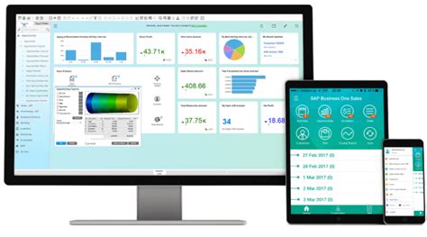 Sap Business One Hana Available Reporting Tools