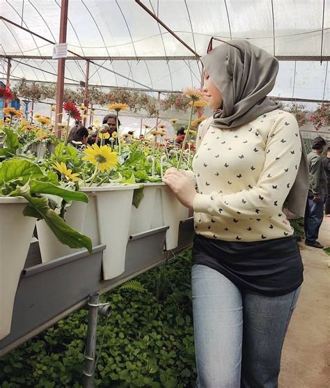 51 Cikgu Azwa Ideas Girl Hijab Beautiful Hijab Muslim Women