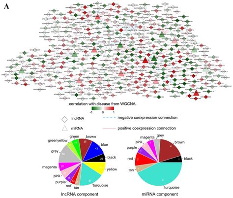 Cerna Network Analysis Reveals Prognostic Markers For Glioblastoma