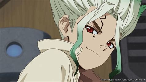 Senku Dr Stone Trivia 📚 On X Fun Fact Suika Made Senkus New
