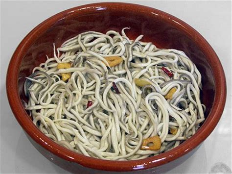 Do You Know The Difference Between Gula Angula And Eel Blog Mentta