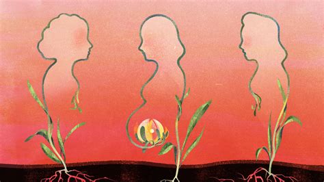 Graduating From An Infertility Support Group The New York Times