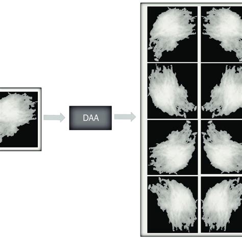 results obtained using the data augmentation algorithm download