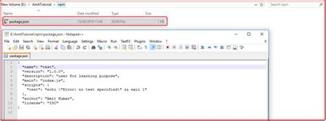Node Package Manager Tutorial Step By Step Tutorials Link