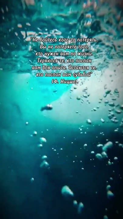 Цени тех кто рядом несмотря ни на что Reels вмоменте цитаты жизнь мудрость фраза мир дом