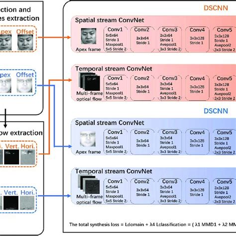 The Framework Of The Dscnn And The Training Process Download Scientific Diagram