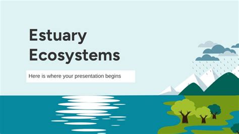Estuarine Ecosystem Ihcantabria Proposes A New Estuarine