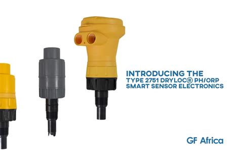 Introducing The Type 2751 Dryloc® Ph Orp Smart Sensor Electronics Gf Africa