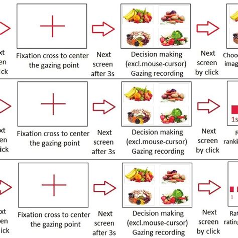 Response Formats Used In The Second Experiment Download Scientific Diagram