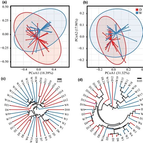 Analysis Of Bacterial Community Differences In Different Types Of Download Scientific Diagram