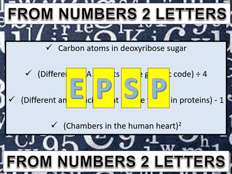 Excitatory And Inhibitory Postsynaptic Potentials Edexcel A Level Biology B Teaching Resources