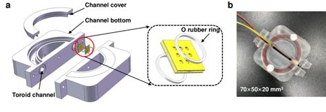 A Schematic Illustration Of The Microfabrication Processes Of The