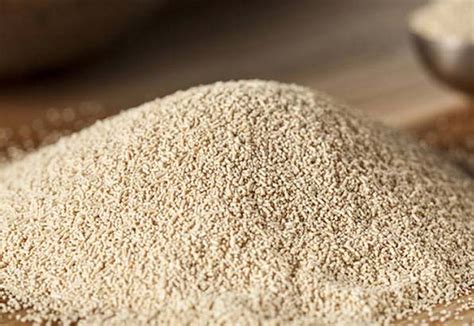 Yeast Extracts Nucleotides And Nucleic Acids