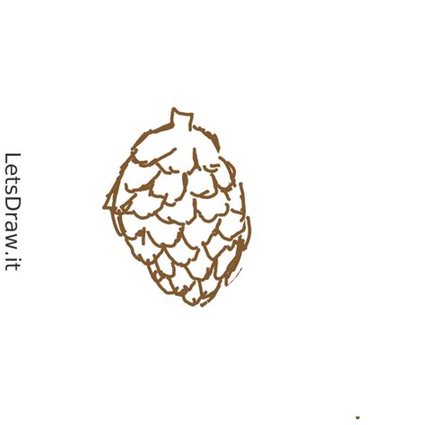 How To Draw Pine Cone Y I Hx Png LetsDrawIt