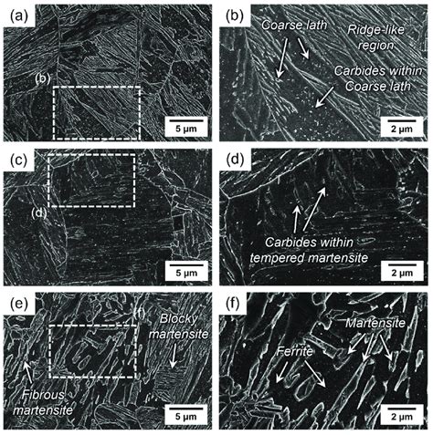 Scanning Electron Microscope Sem Micrographs Of The A B Dq C D Download Scientific
