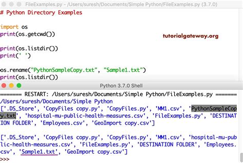 Import Os Python что это и как использовать